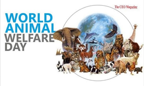 Paws, Claws, and Compassion: Celebrating Animal Welfare | PMN Patralok